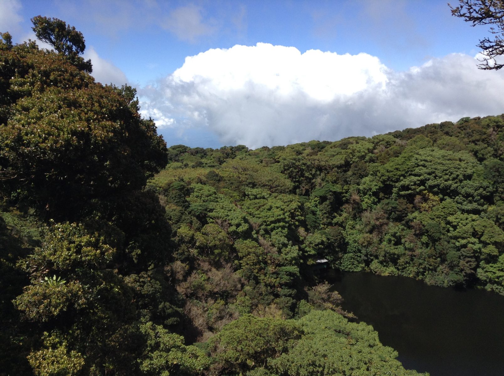 Sustainable development in Costa Rica: how real is it? – The Mint Magazine